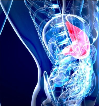 Dr. Suresh K Gupta | Dr. Suresh K Gupta, MD